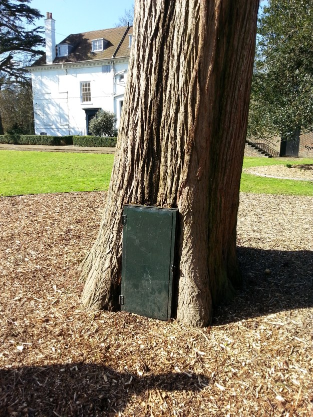 Trees | Mitcham History Notes